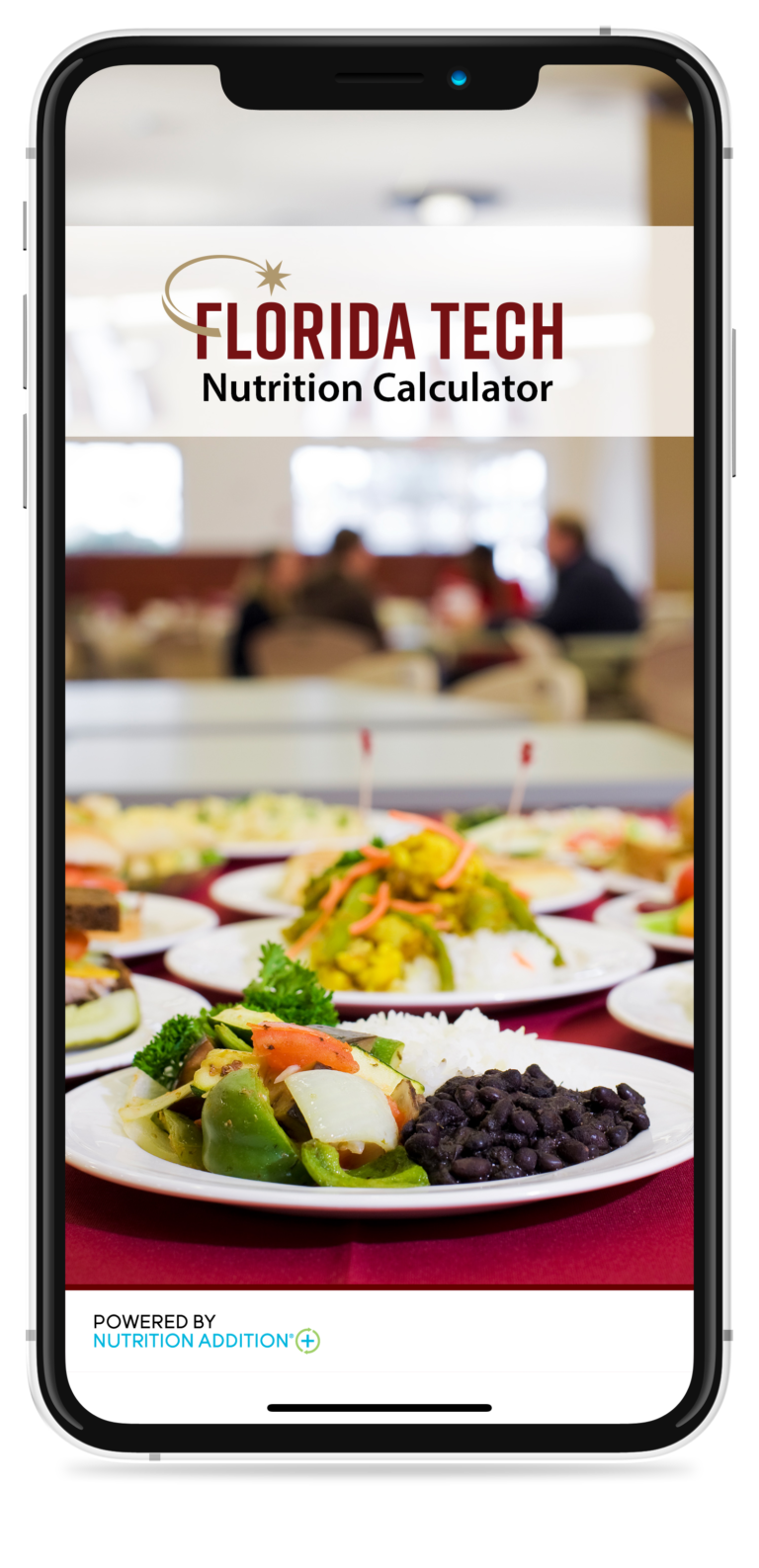 Nutrition Calculator + App – Nutrition Addition